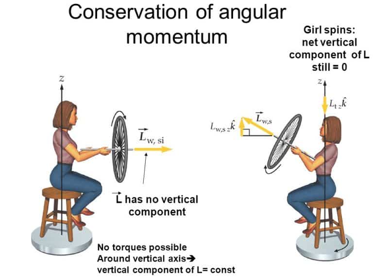 ¿Cómo hacen los gatos para caer siempre de pie? ¿Y las tostadas? – Ingenieria Basica